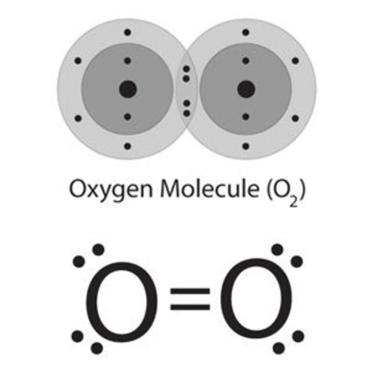 Primary and Secondary Bonds - Owlcation