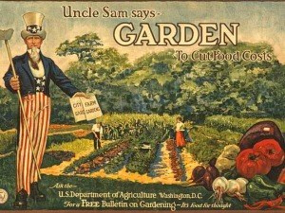 Liberty and Victory Gardens During World Wars I and II and Benefits of ...