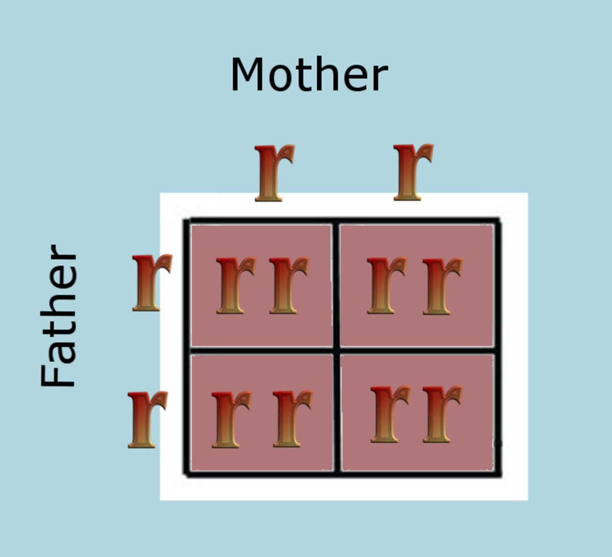 Redheads: The Genetics of Hair Color - Owlcation
