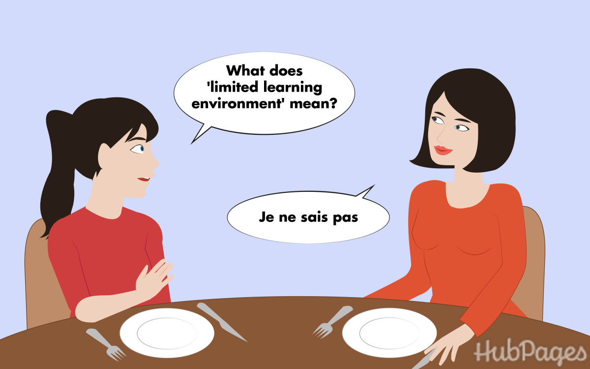 Challenges Encountered by Learners of English as a Second Language ...