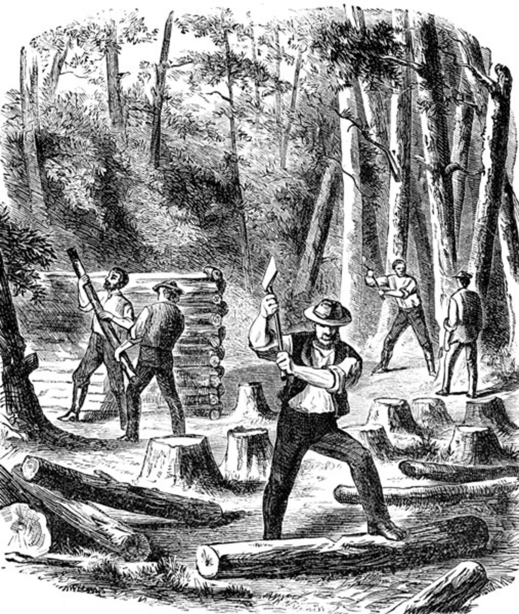 How the Motivations of the Colonists Impacted Colonial Life - Owlcation