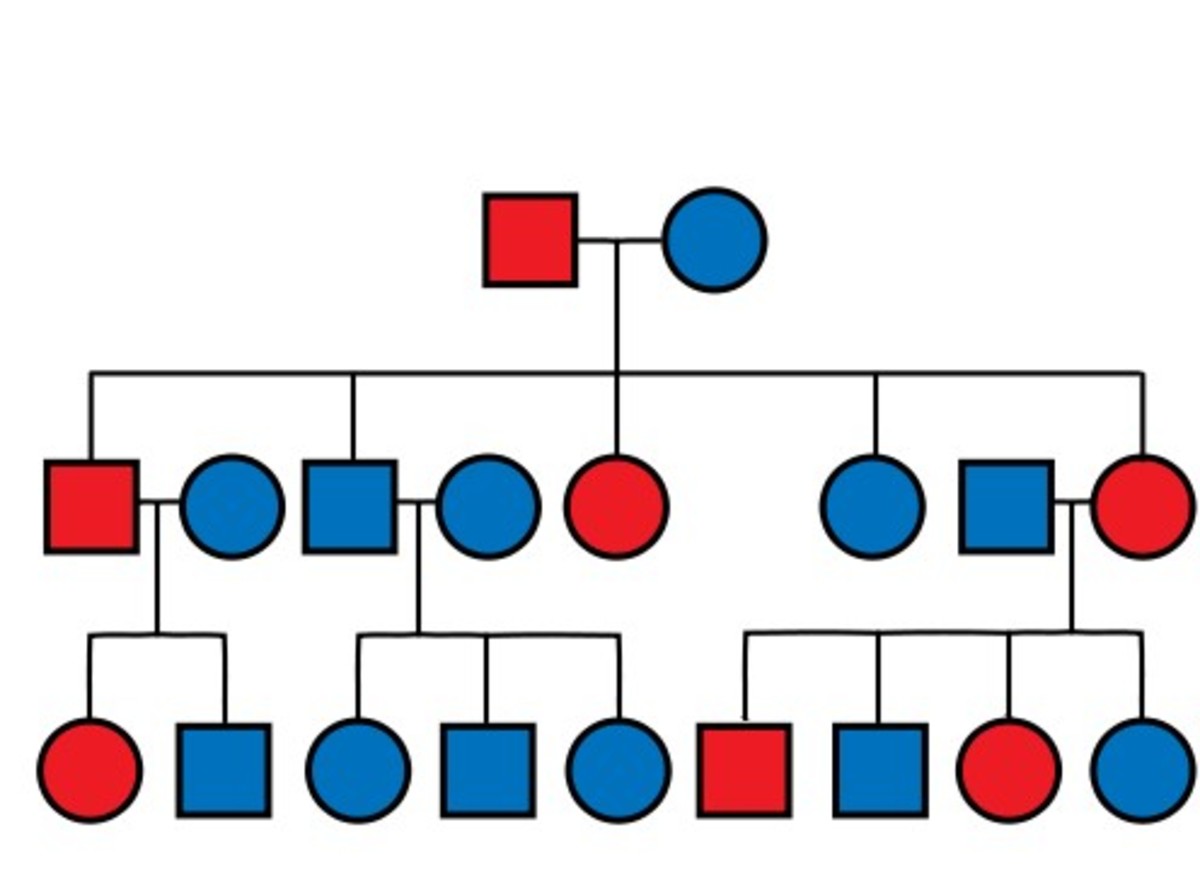 Origins & Meanings: Etymology of 10 Cool Words (For Students) - Owlcation