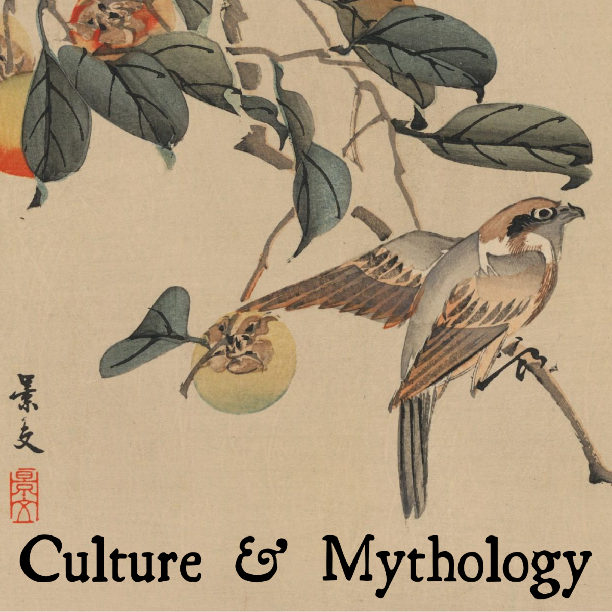 The Meaning of Sparrows: Symbolism and Identification - Owlcation