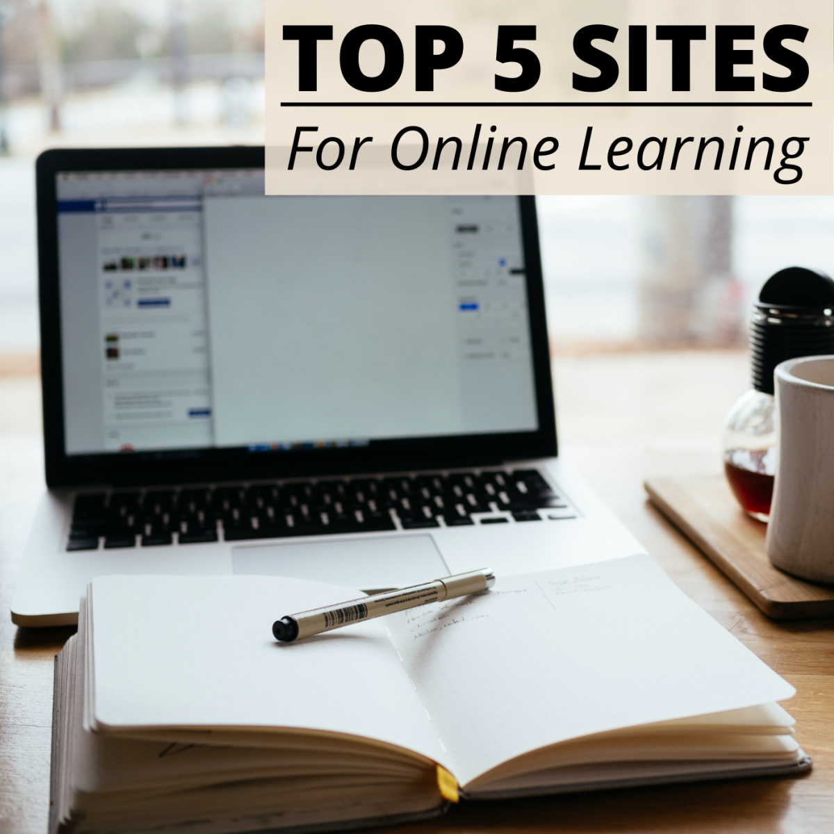 Top 5 Online Learning and Education Platforms - Owlcation