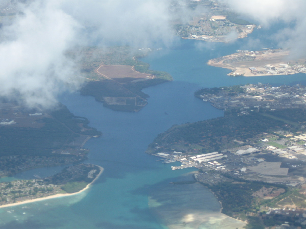 The Guano Islands Act of 1856: Congress' Bird Poop Law - Owlcation