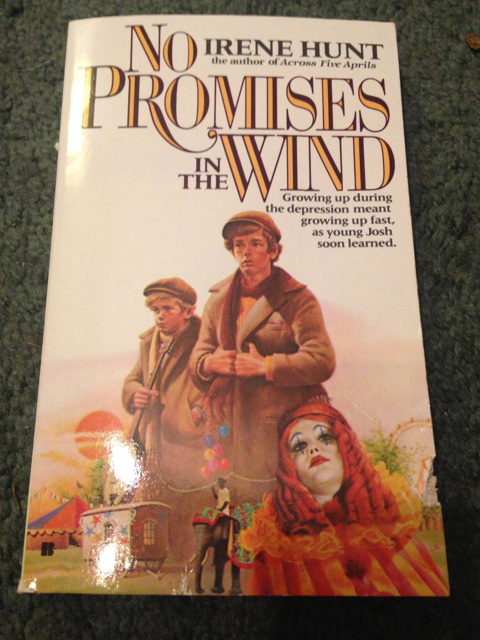 Irene Hunt Novel