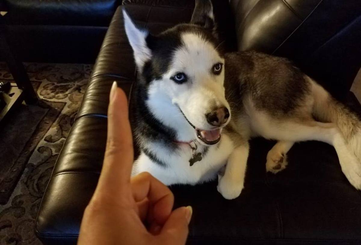 10 Filipino Gestures and Their Meanings - Owlcation