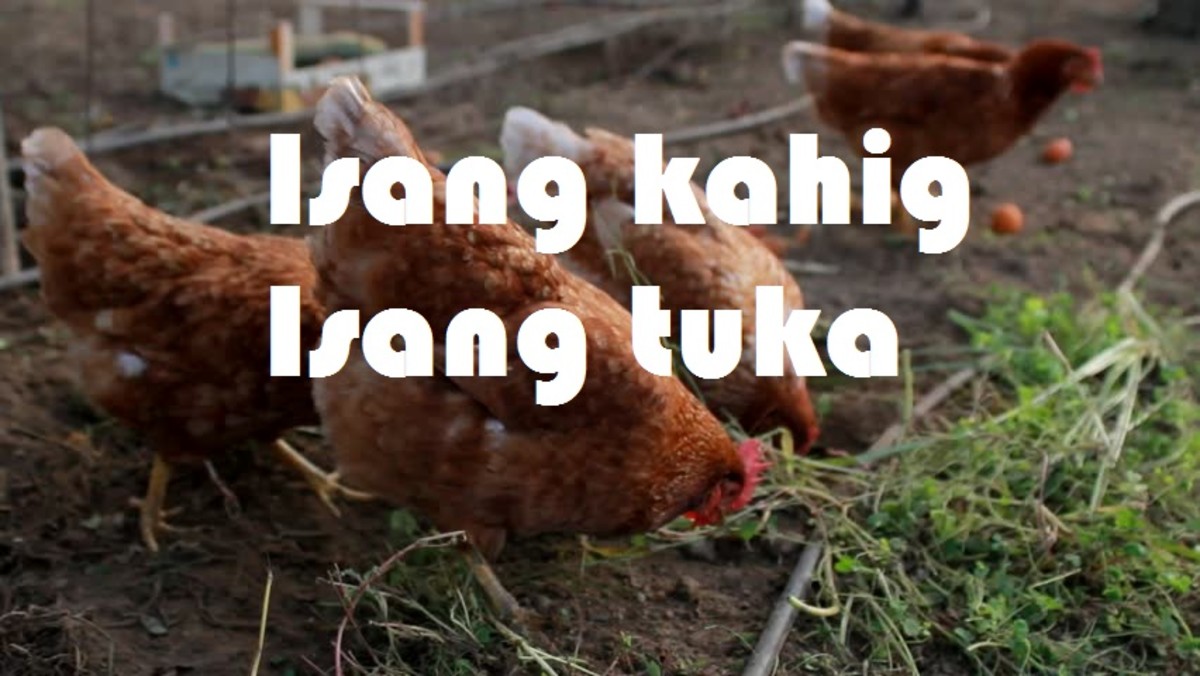 Filipino Idioms: 30 Examples of Tagalog Idiomatic Expressions - Owlcation