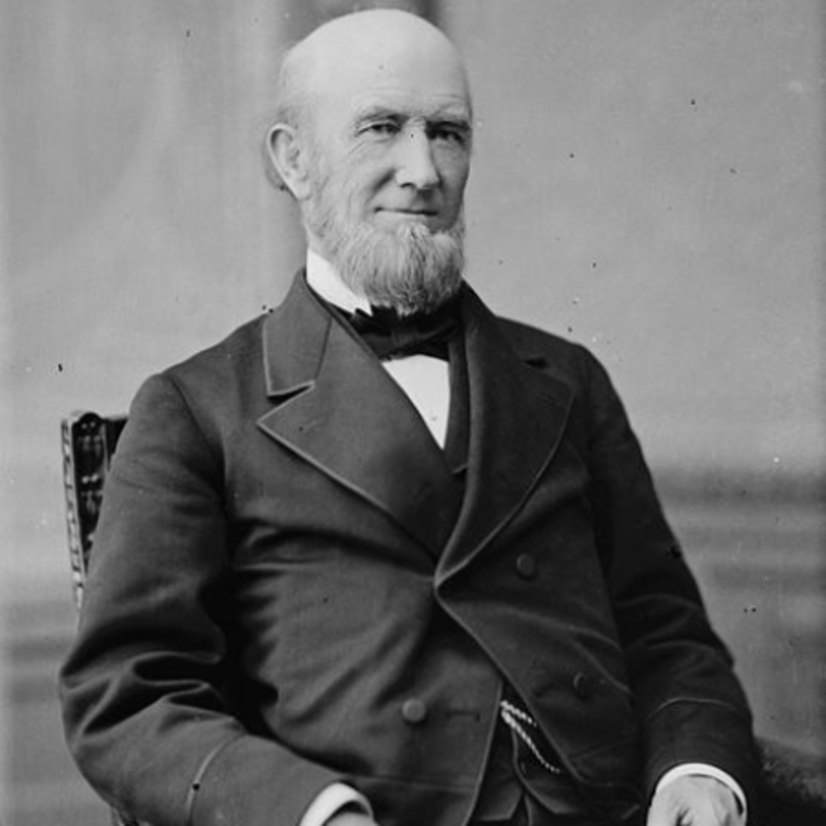 A History of the Ironclad Pook Turtle - Owlcation