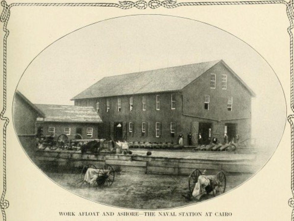 A History of the Ironclad Pook Turtle - Owlcation