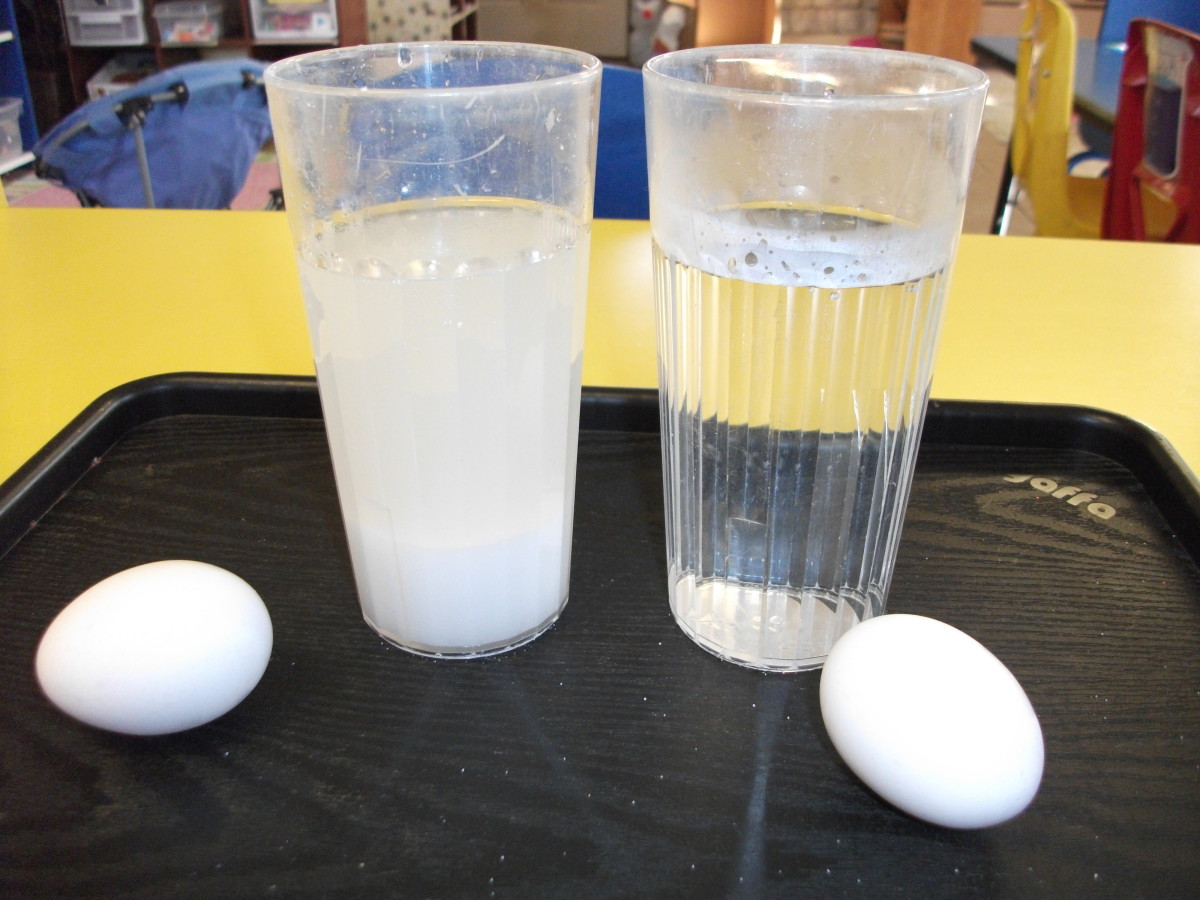 Fun and Easy Egg Experiments for Kids - Owlcation