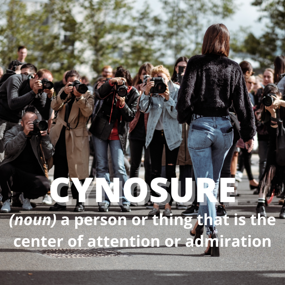 60+ Amazing Words You've Never Heard Of - Owlcation