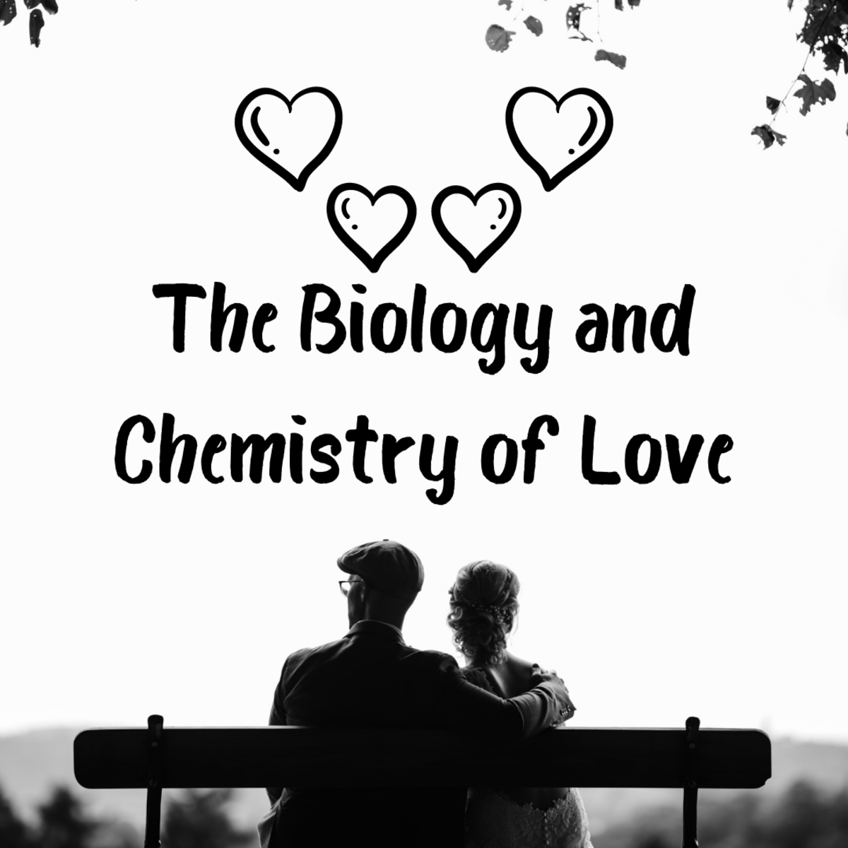 Biology and Chemistry of Love - Owlcation