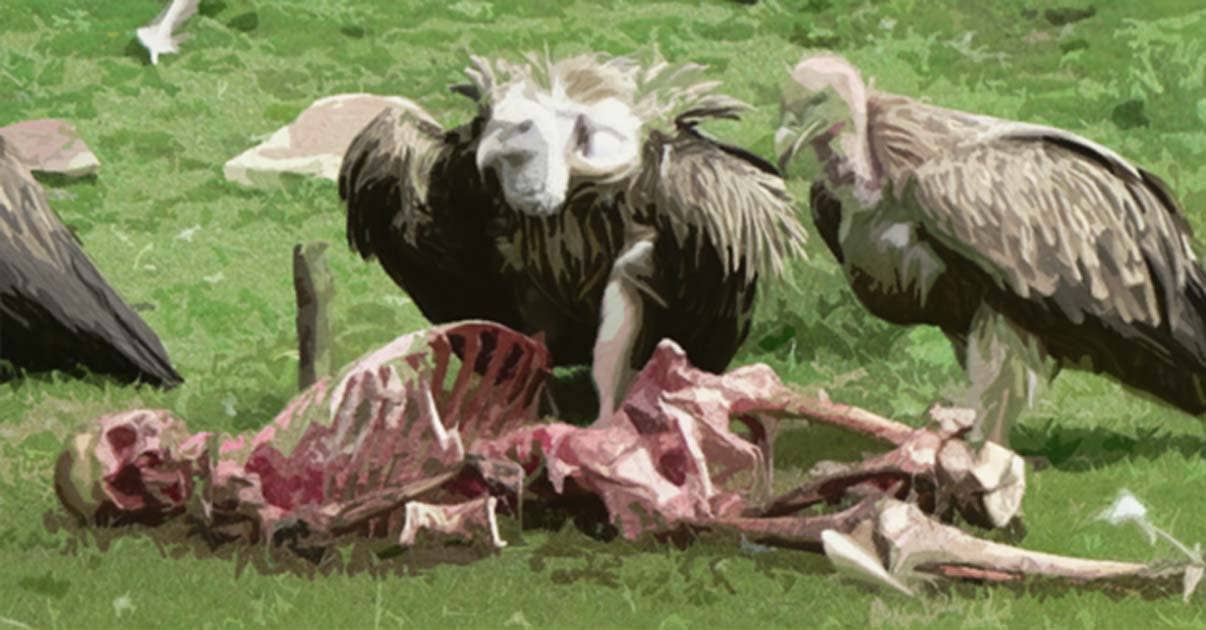 7 Unusual Burial Rituals From Around the World - Owlcation