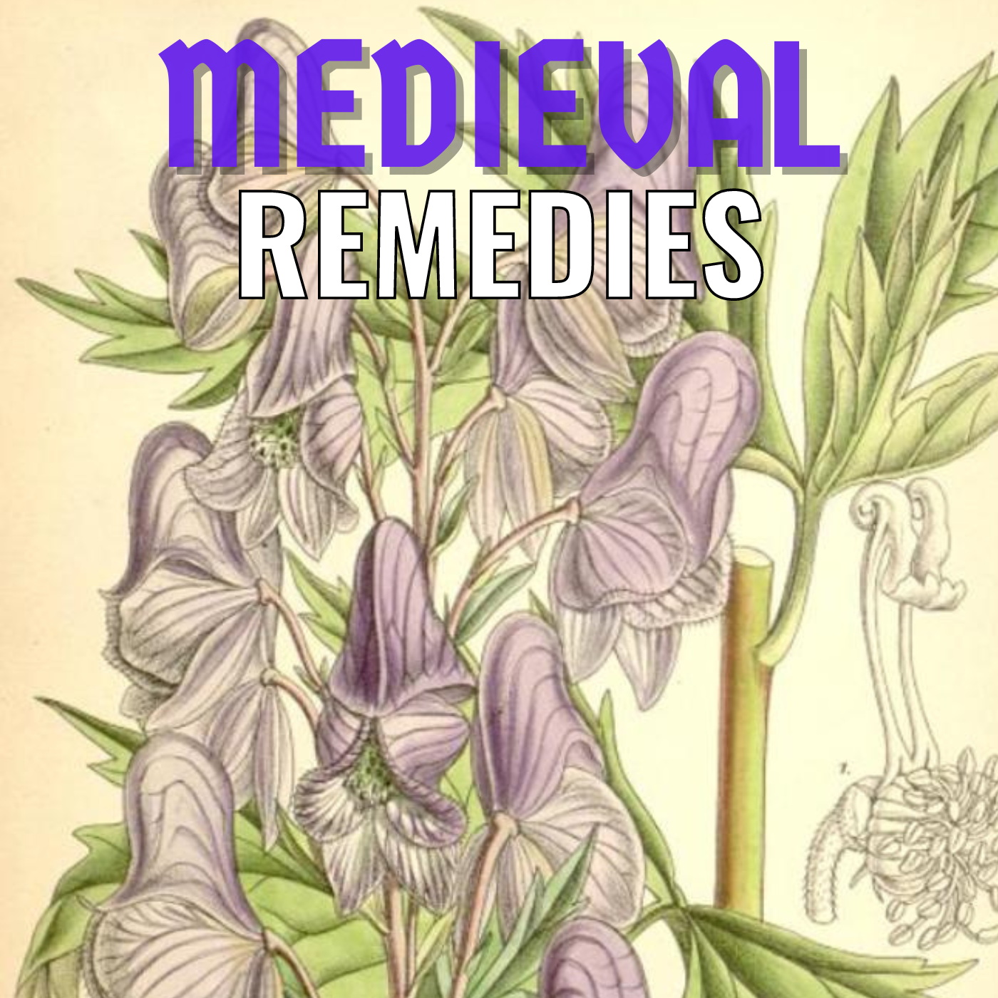 Medieval Remedies, Diseases and Cures: Dark Days of Medicine - Owlcation
