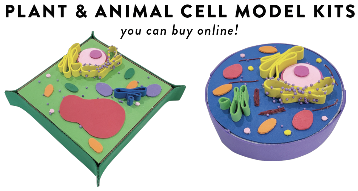 How to Create 3D Plant Cell and Animal Cell Models for Science Class ...
