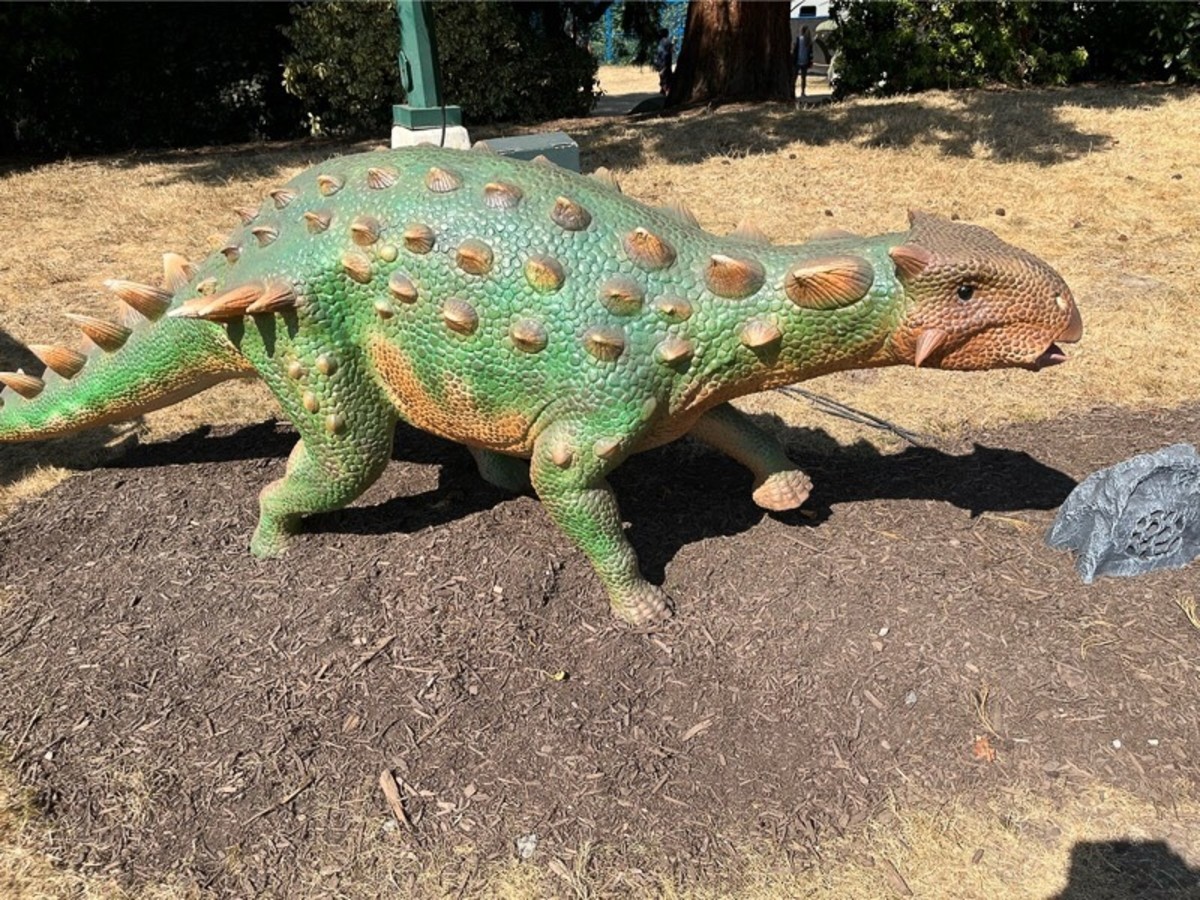 11 Intriguing Dinosaurs: Physical Appearance and Life Facts - Owlcation