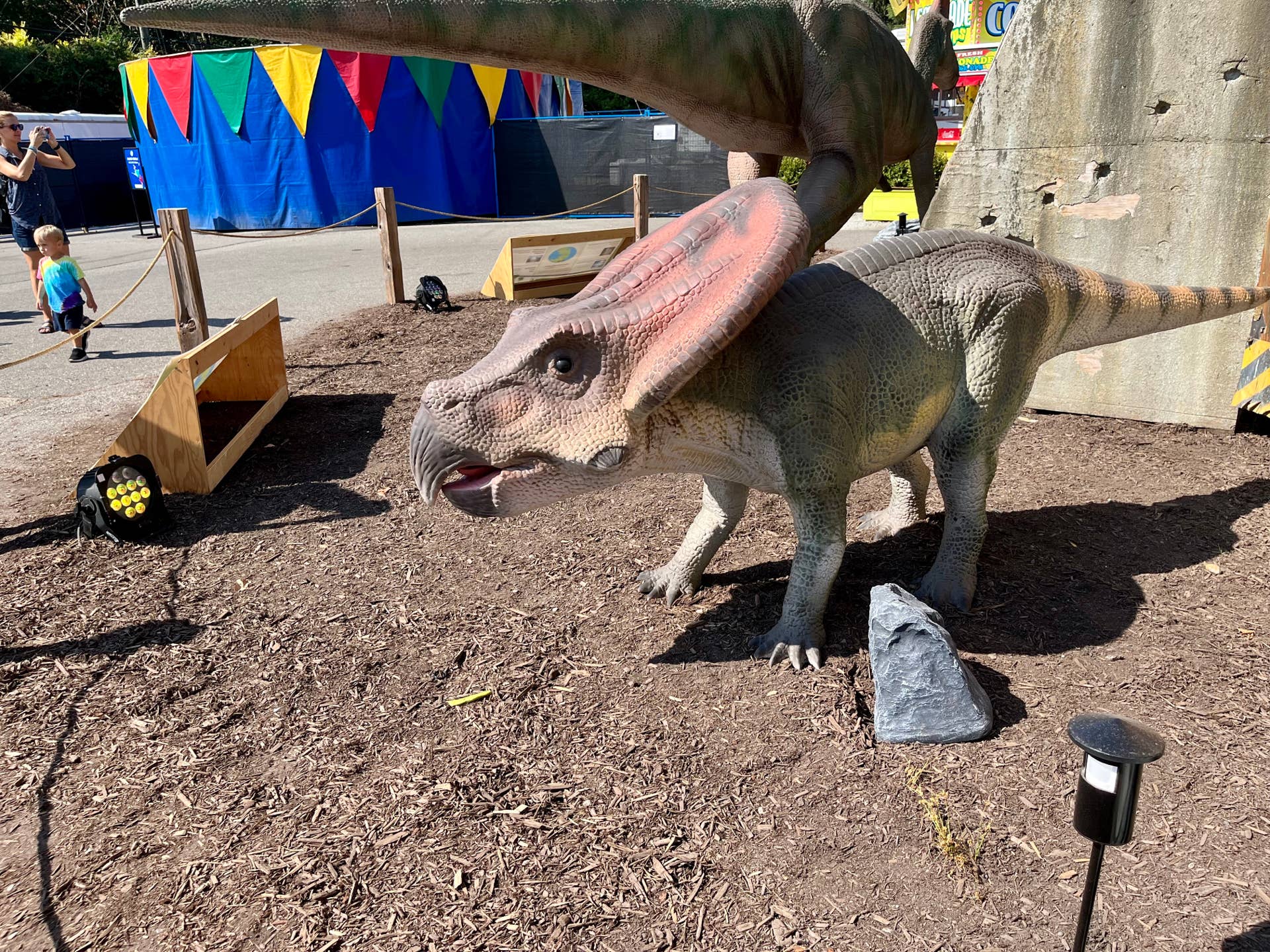 11 Intriguing Dinosaurs: Physical Appearance and Life Facts - Owlcation
