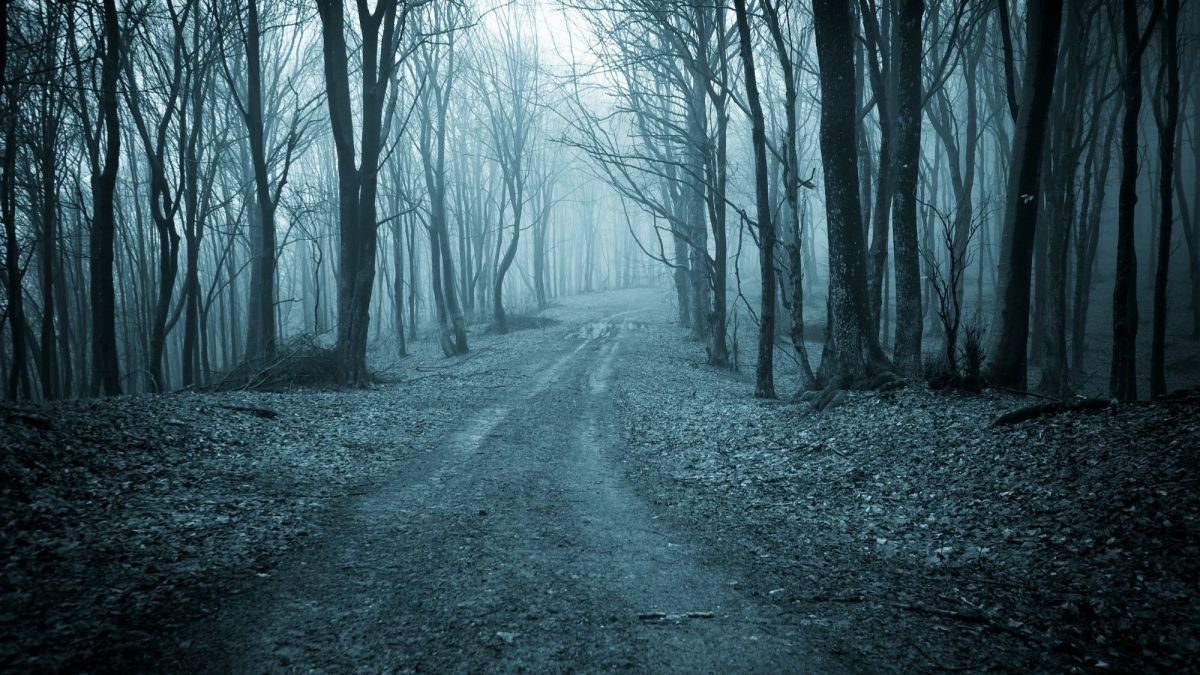 Tales of the Lumberjacks: Fearsome Critters of the Forest - Owlcation