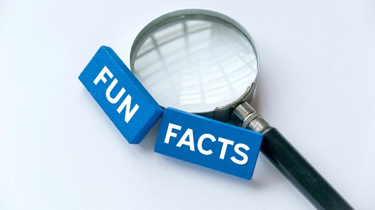 200+ Weird Fun Facts Most People Don't Know - Owlcation