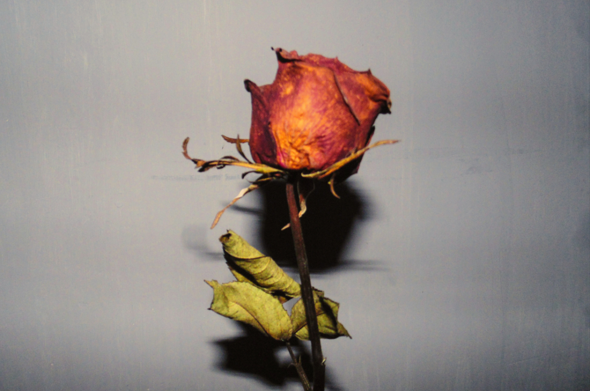 Gothic Literature: A Definition and List of Gothic Fiction Elements ...