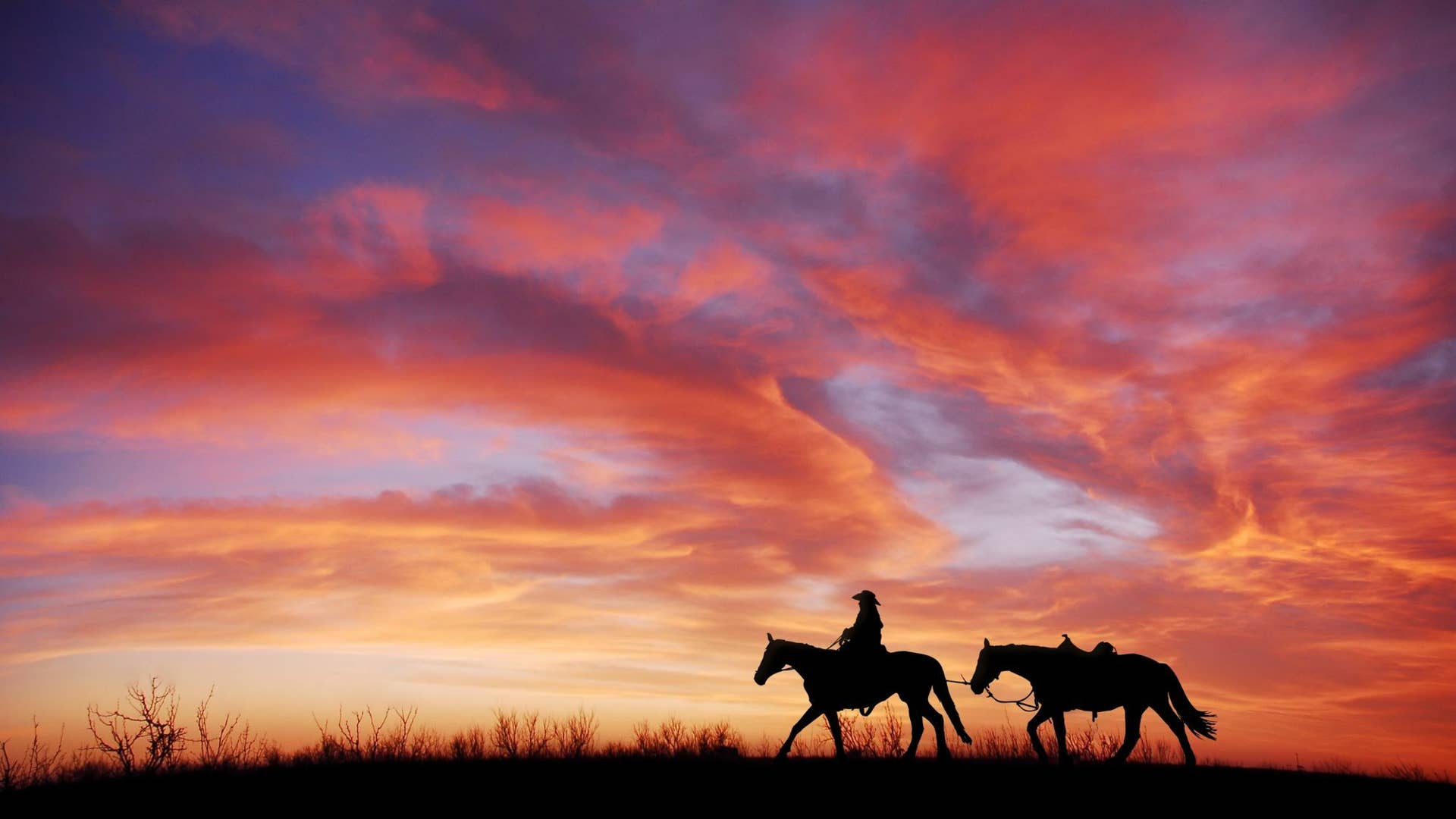 Black Outlaws, Cowboys, and Lawmen of the Old Wild West - Owlcation