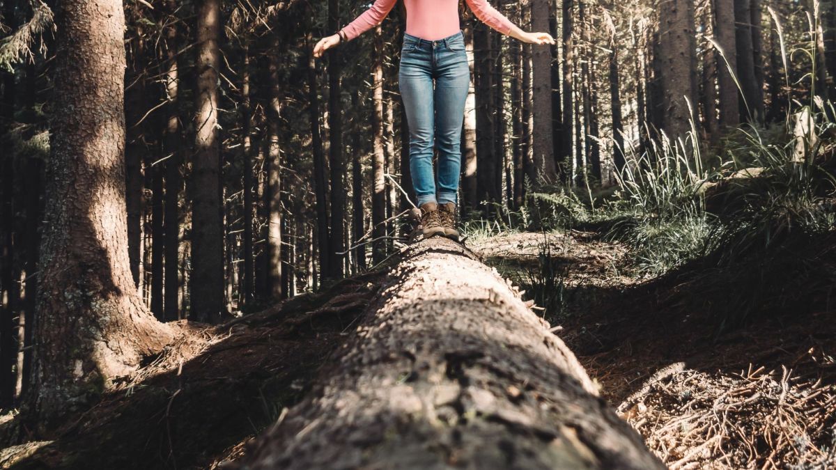 Stable and Unstable Equilibrium - Owlcation