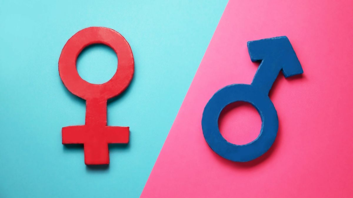 The Biological Explanation for Gender Differences - Owlcation