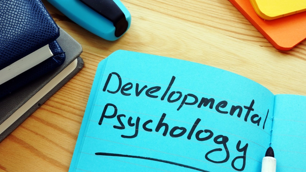 Developmental Psychology Studies You Need to Know - Owlcation