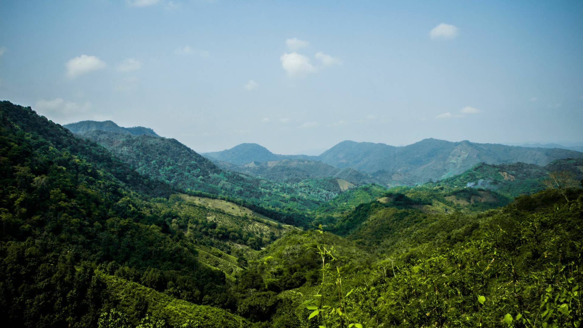 The 4 Major Environmental Issues and Concerns of the EPA - Owlcation