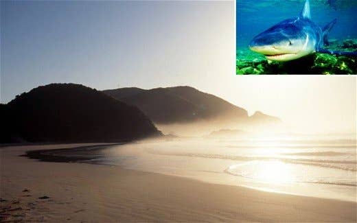 The Most Dangerous Beach in the World for Shark Attacks - Owlcation