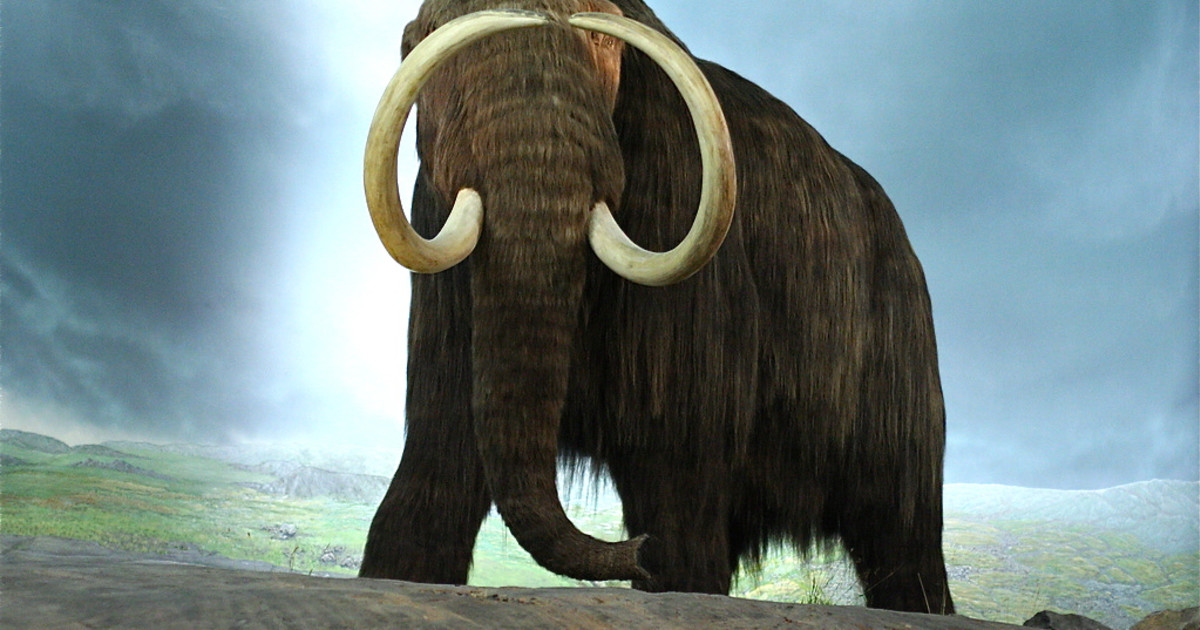 really extinct animals