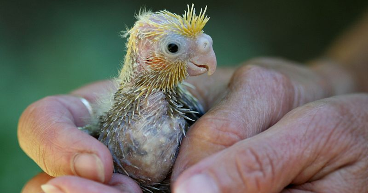 18 Catchy Aphorisms: Wisdom Expressed in Short Phrases - Owlcation