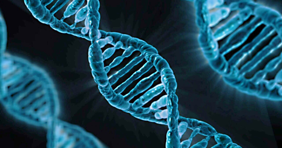 How to Study Biology: Tips From a High School Teacher - Owlcation