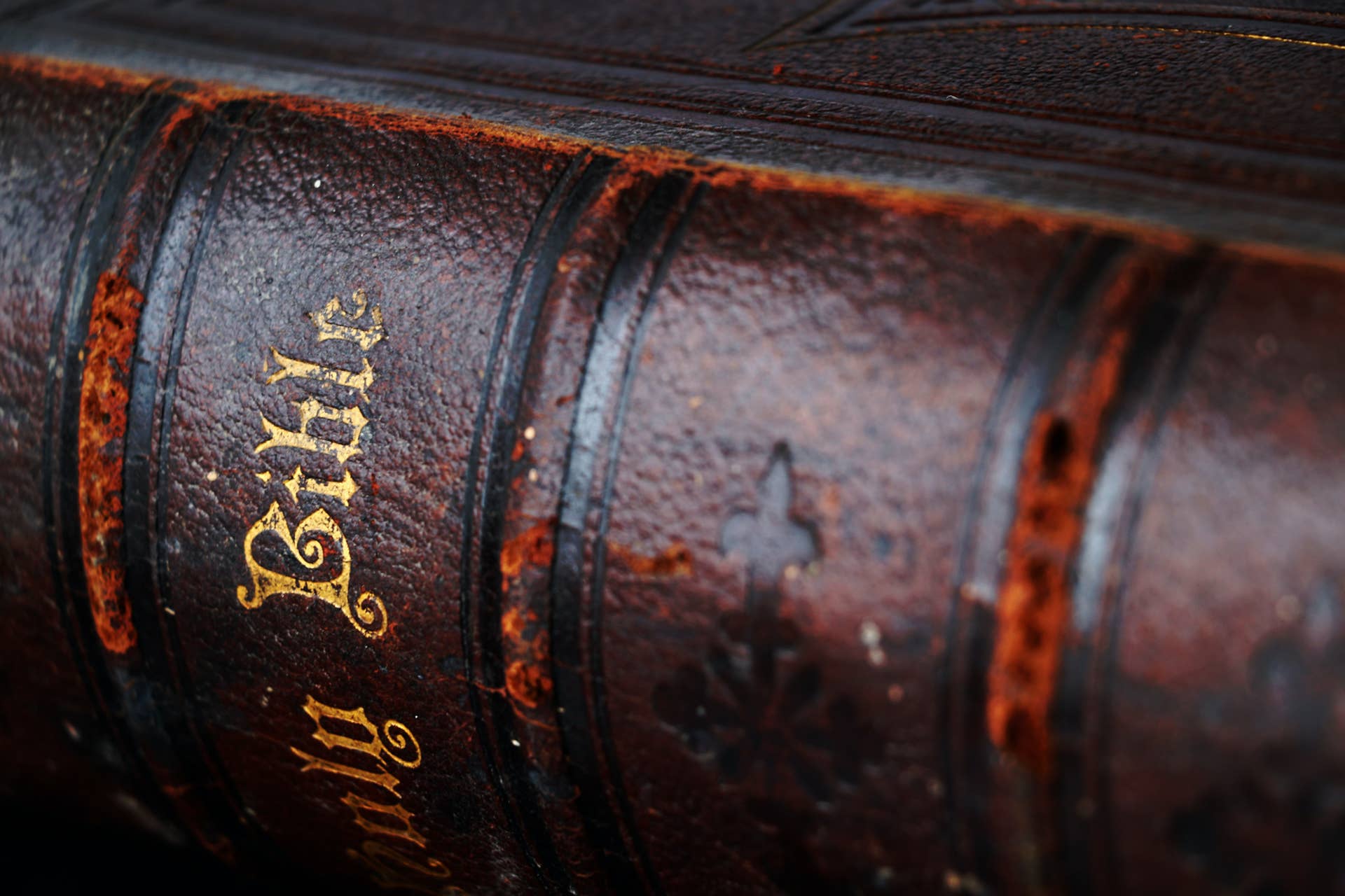 Professions of the Bible Writers - Owlcation