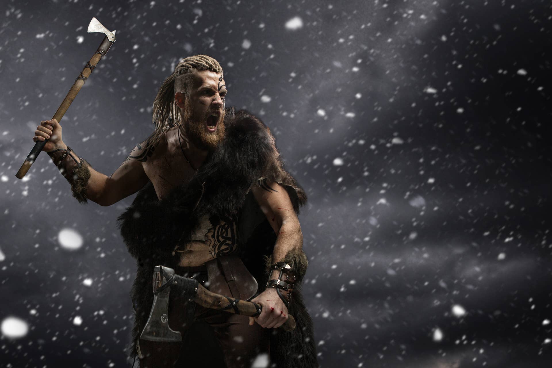 There Is No Such Thing as "Viking" DNA - Owlcation