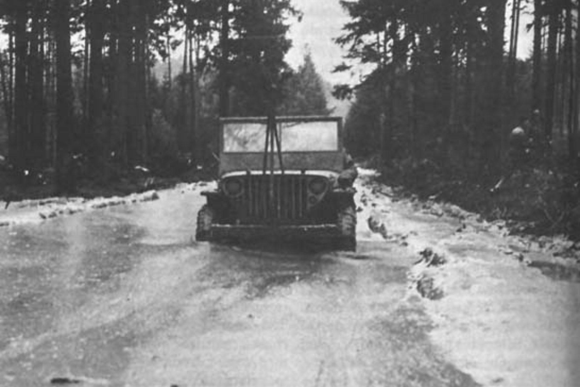 Hürtgen Forest Fall 1944: A Green Hell - Owlcation