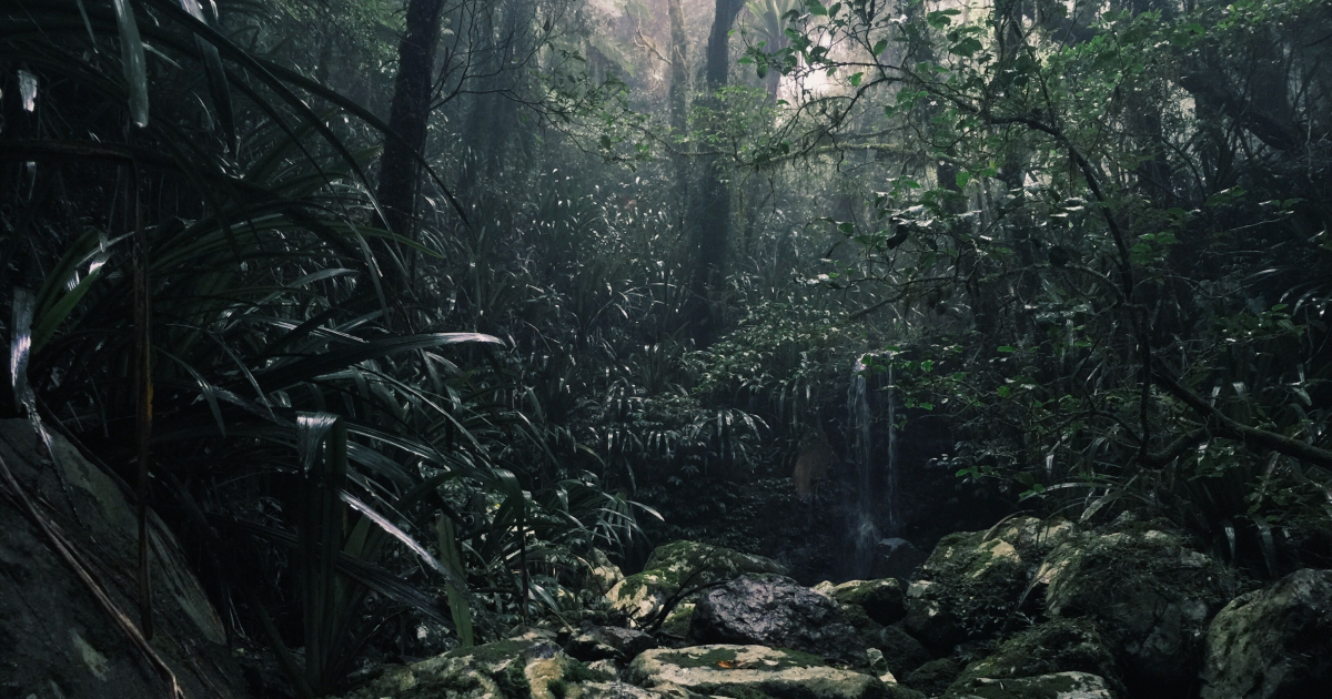 What Is a Feral Child? The Concept and Cases - Owlcation