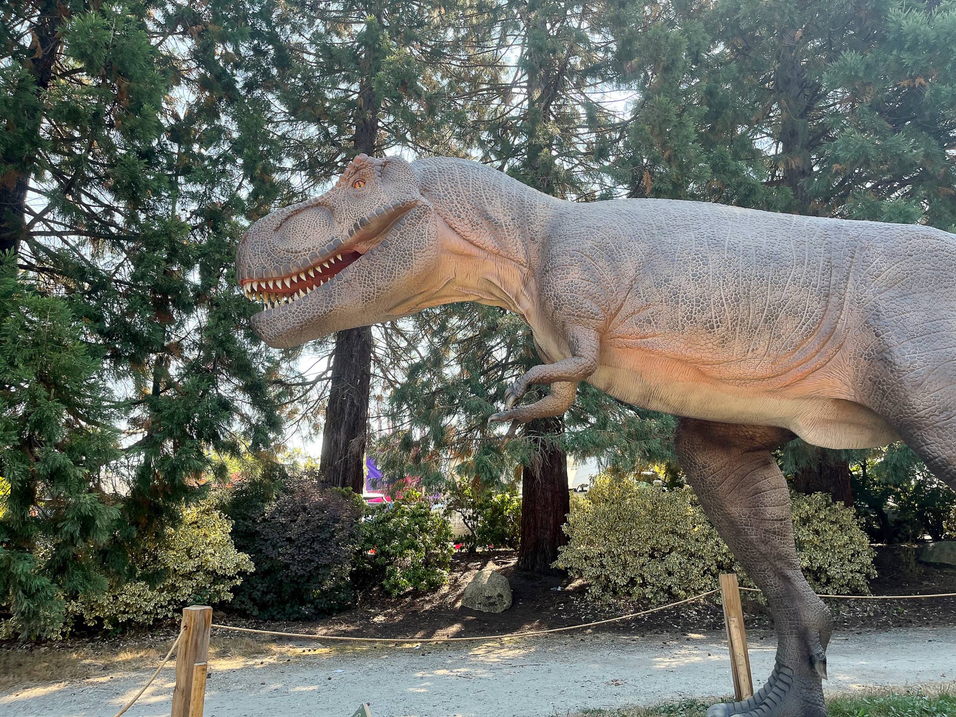 11 Intriguing Dinosaurs: Physical Appearance and Life Facts - Owlcation