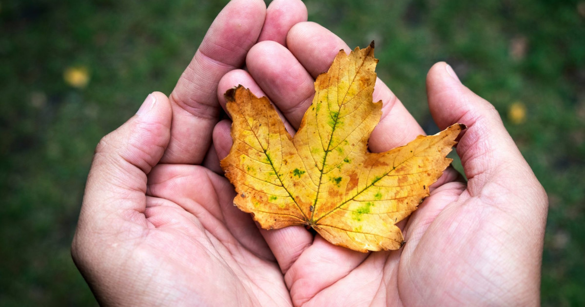 Ellipsism: The Melancholy of Missing Out on the Future - Owlcation