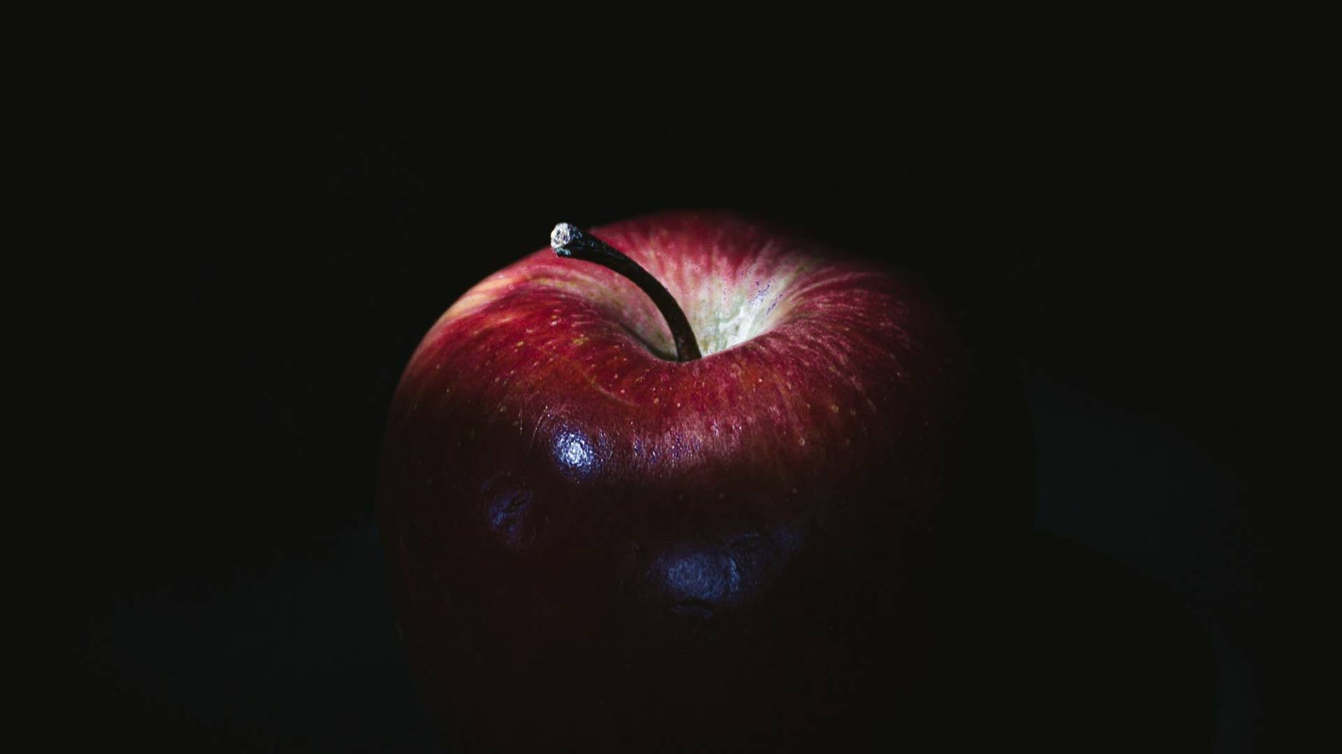 Top 8 Bewitching Books Like "Twilight" Everyone Should Read - Owlcation