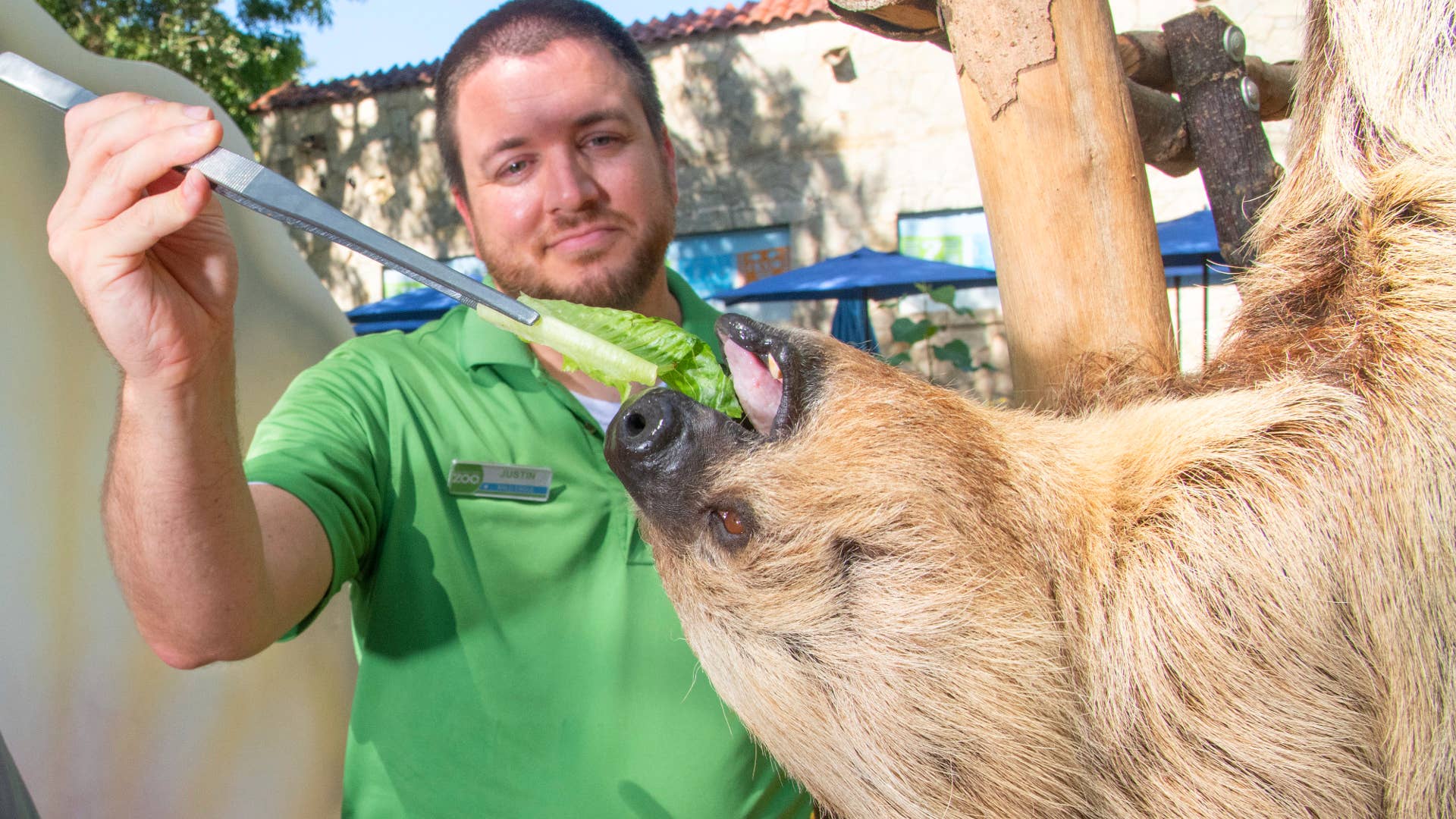 What Is the Job of a Zookeeper? - Owlcation