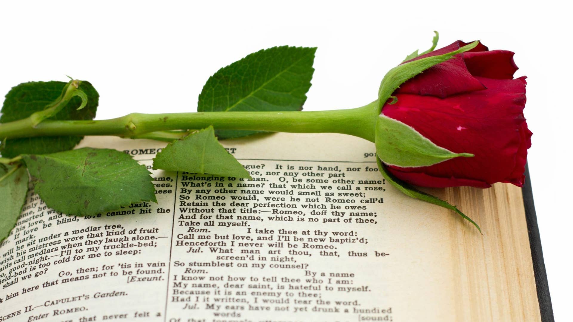 Fate vs. Free Will in Shakespeare's "Romeo and Juliet" - Owlcation