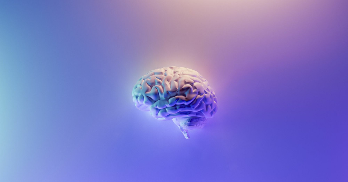 AS Psychology: The Working Memory Model - Owlcation