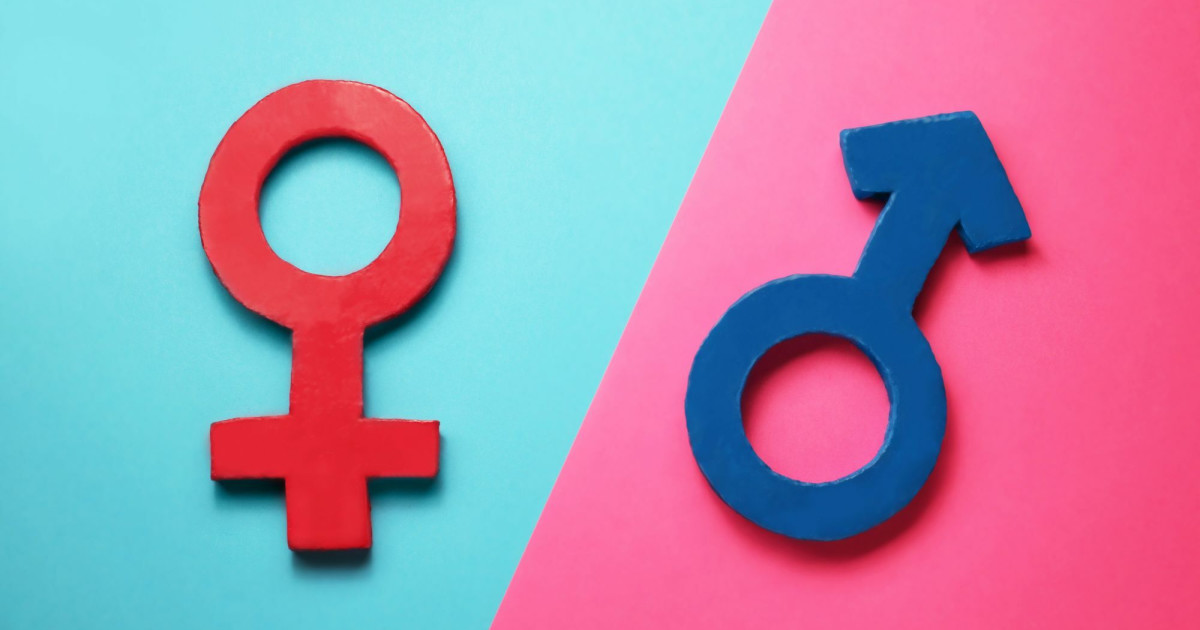 The Biological Explanation for Gender Differences - Owlcation