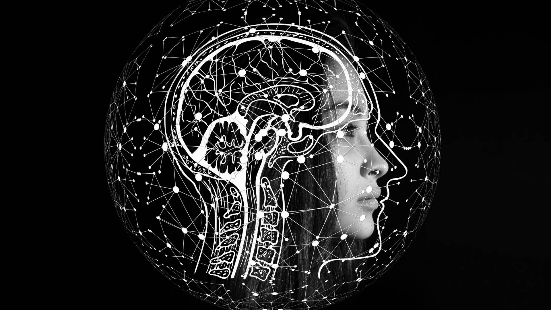 Introduction to the Human Brain: Facts, Anatomy, and Functions - Owlcation