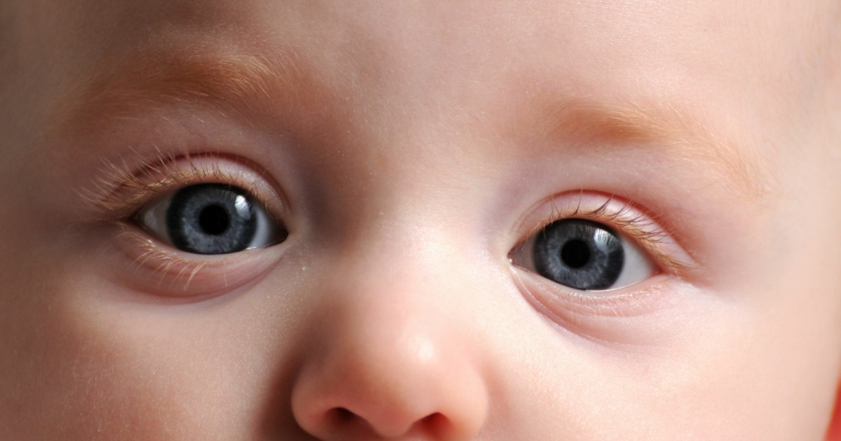 Visual Perception and Babies: What Do Babies See? - Owlcation