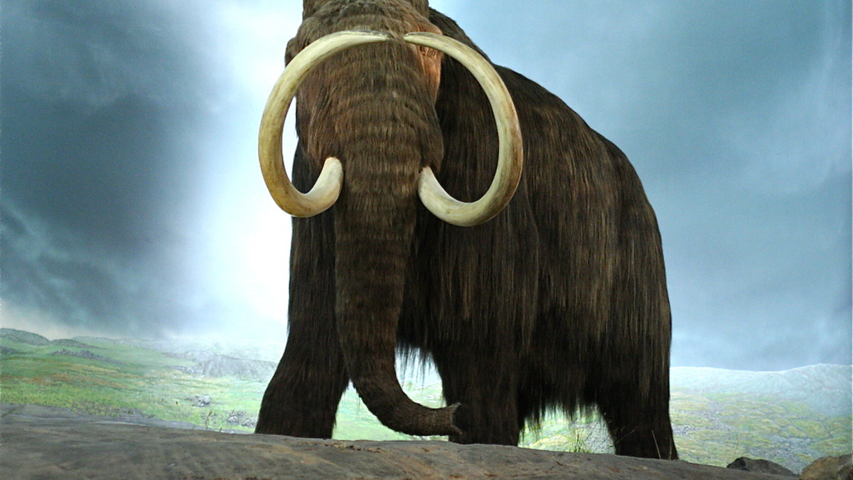 extinct animals science