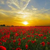 25 Useful Phrases and Vocabulary in Scottish Gaelic - Owlcation