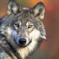 Top 10 Environmental Concerns of the 21st Century - Owlcation